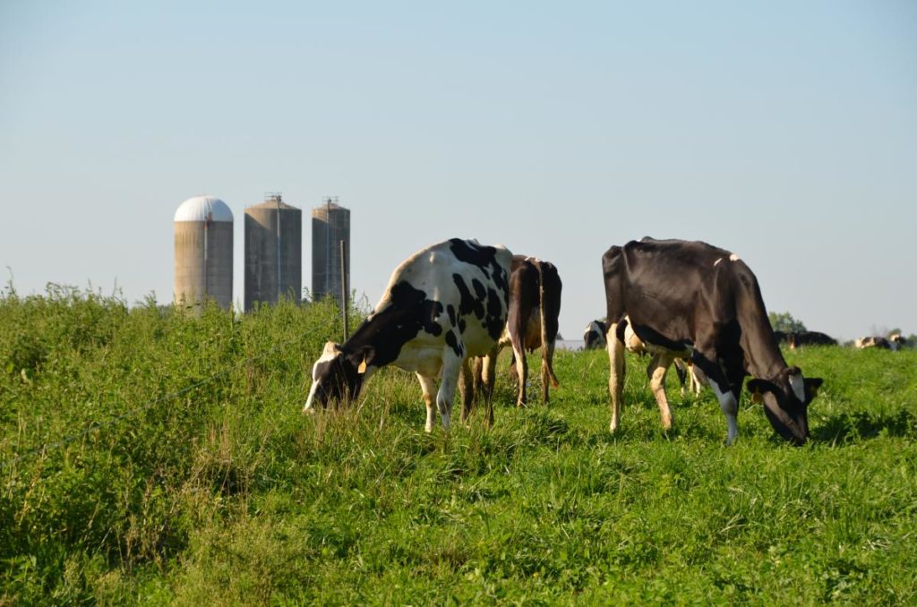 NMPF Introduces FARM Environmental Stewardship Component to Help ...
