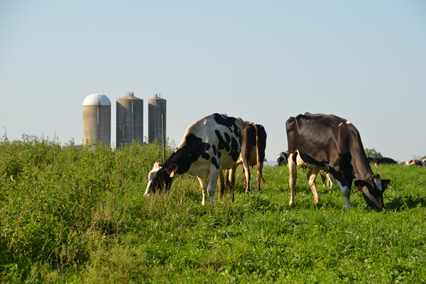 FARM Animal Care Kicks Off Version 4.0 Revision Process - NMPF