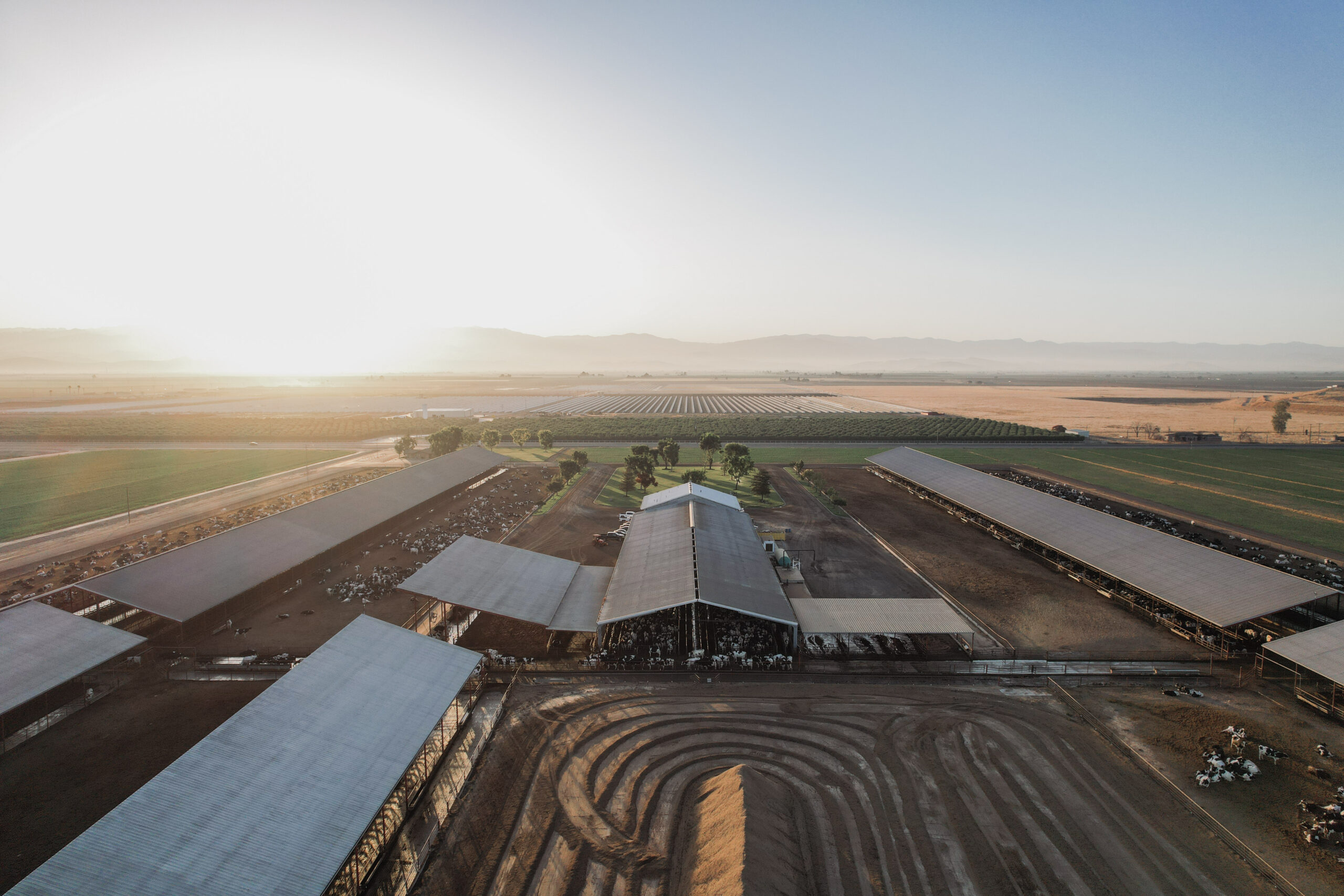 2023 Annual Report - NMPF