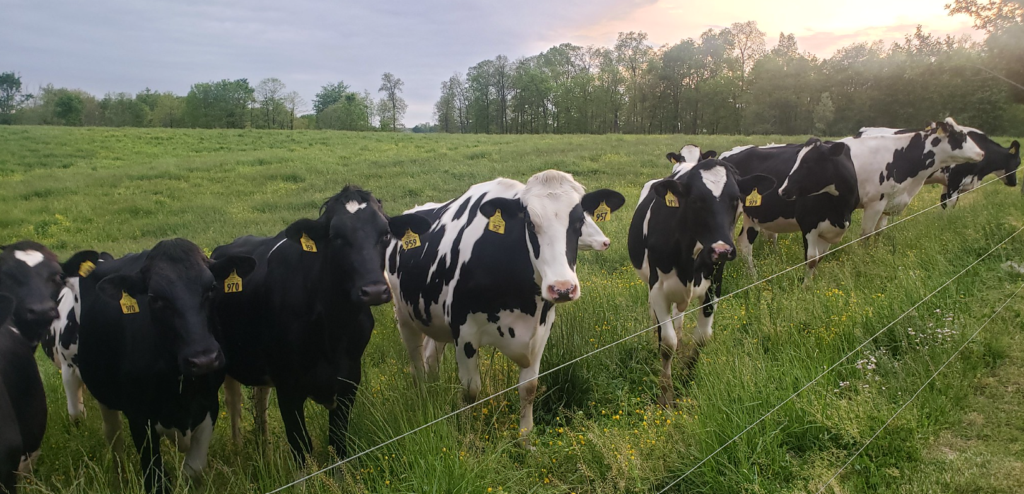 NMPF's Saffran Explains Importance of FARM Program Sustainability Tools ...